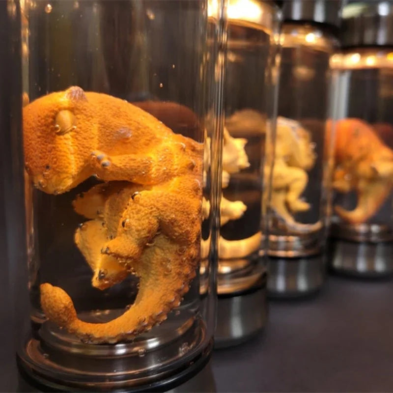 Jurassic Park Dinosaur Embryo Glow Jar Jurassic World Velociraptor Blu